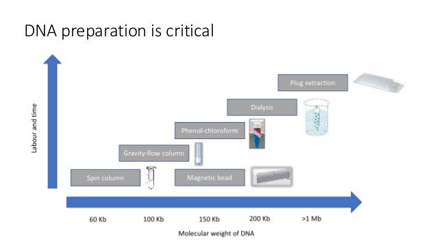 Ultra-long read methods for nanopore single molecule sequencing