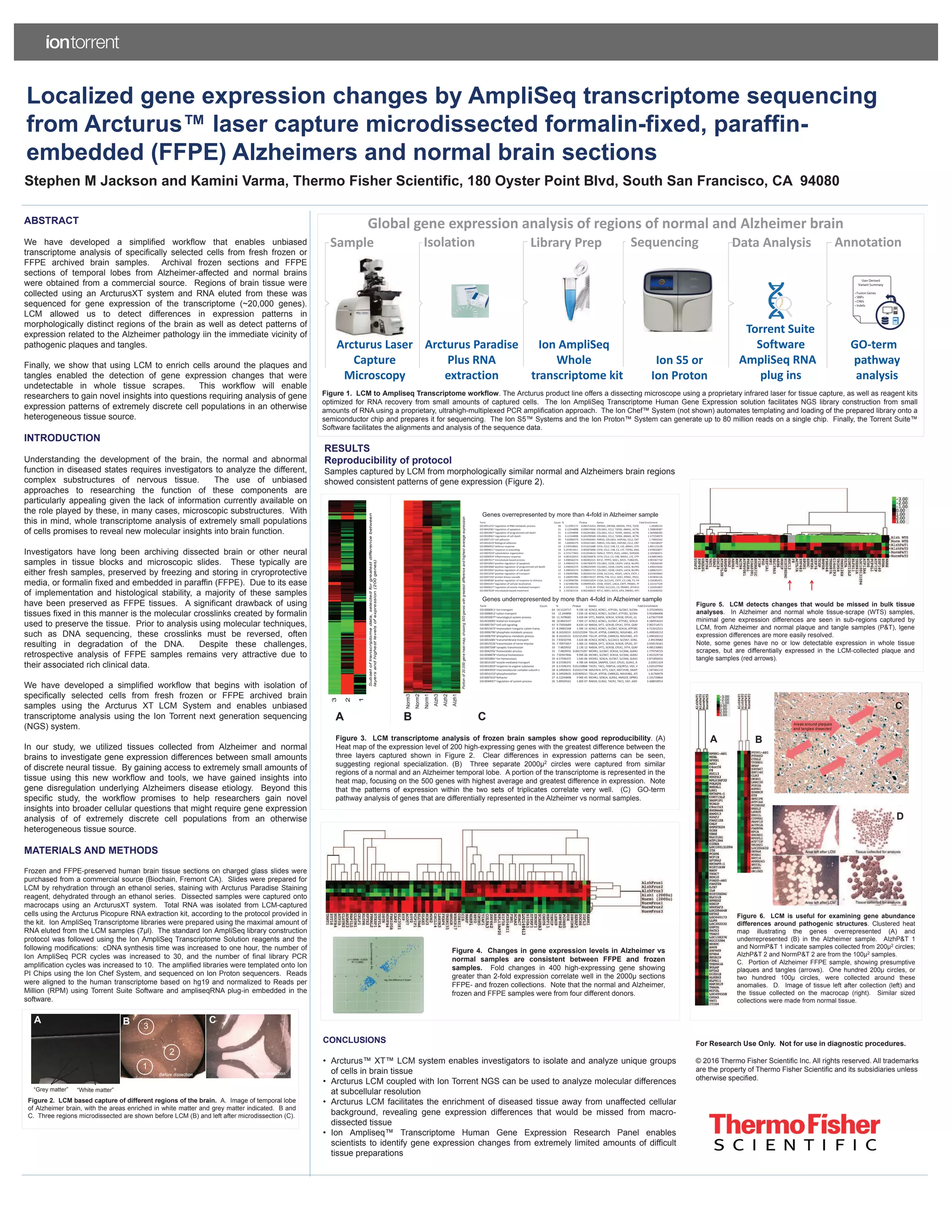 Localized gene expression changes by AmpliSeq transcriptome sequencing ...