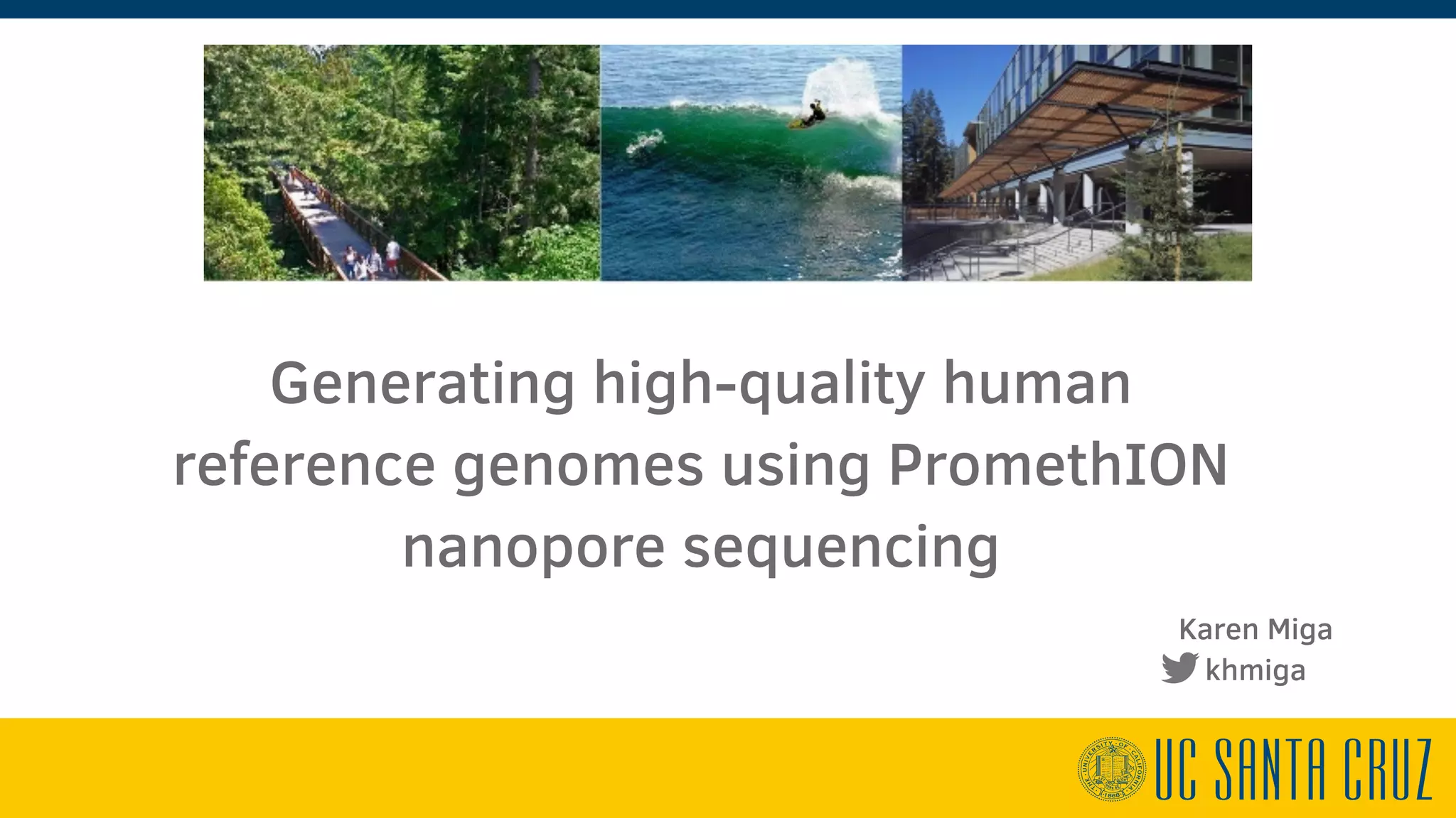 Generating high-quality human reference genomes using PromethION ...