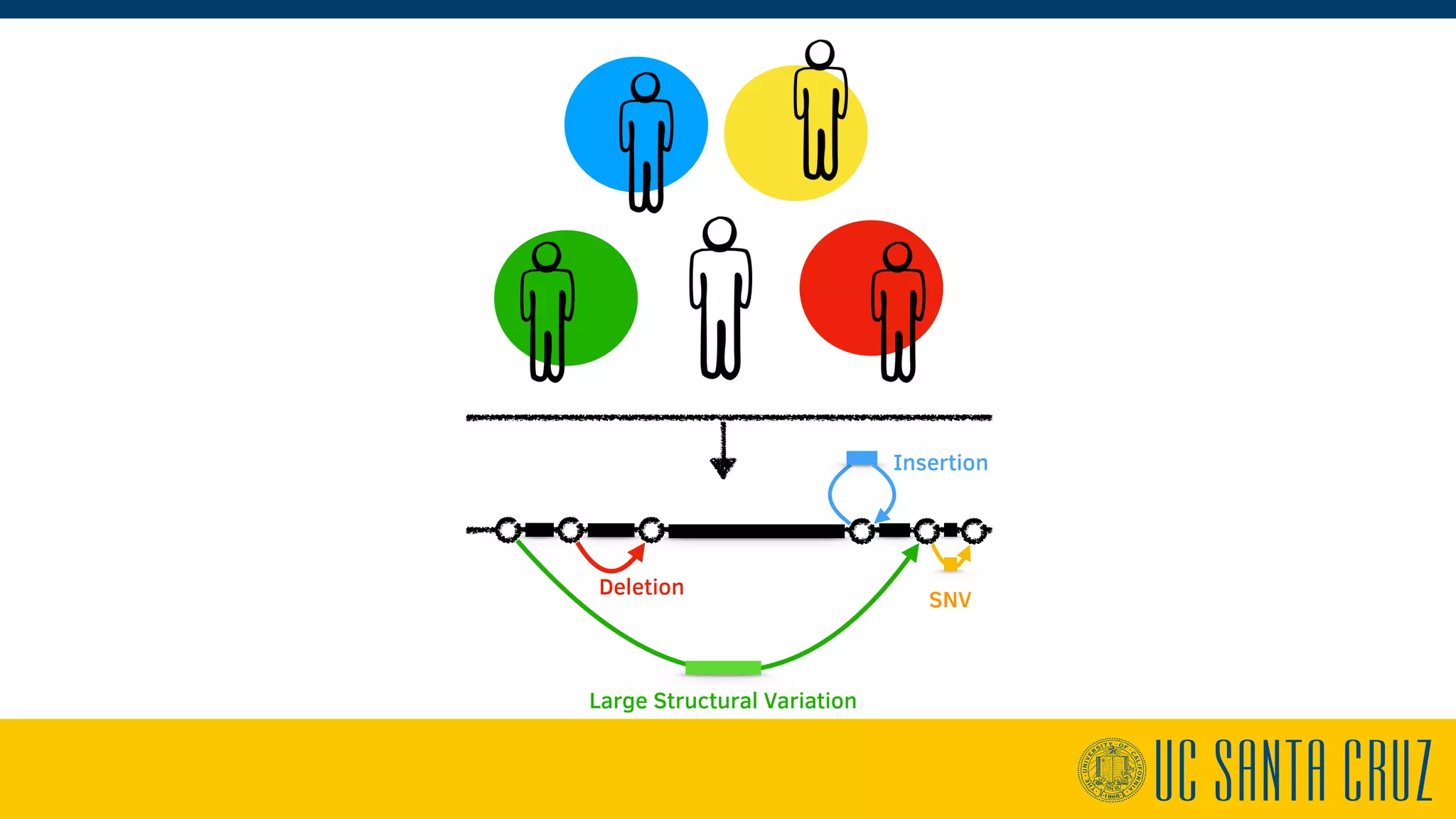 Generating high-quality human reference genomes using PromethION ...