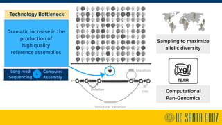 Generating high-quality human reference genomes using PromethION nanopore sequencing | PPT