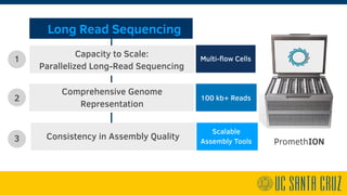 Generating high-quality human reference genomes using PromethION ...