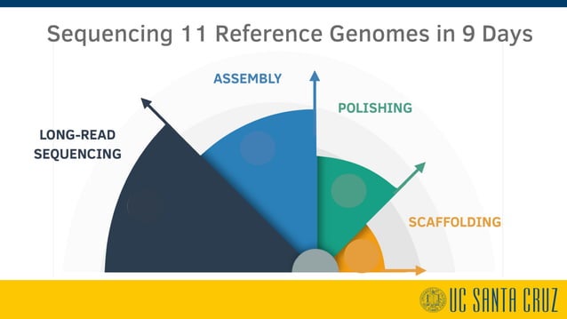 Generating high-quality human reference genomes using PromethION ...