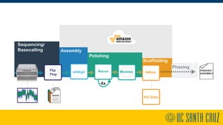 Generating high-quality human reference genomes using PromethION ...