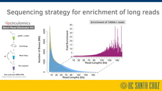 Generating high-quality human reference genomes using PromethION ...