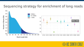 Generating high-quality human reference genomes using PromethION ...