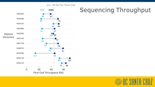 Generating high-quality human reference genomes using PromethION ...