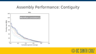 Generating high-quality human reference genomes using PromethION ...