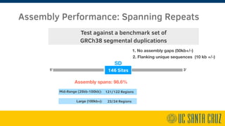 Generating high-quality human reference genomes using PromethION ...