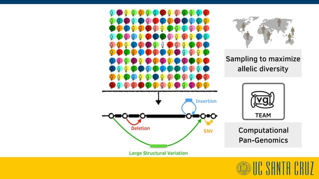 Generating high-quality human reference genomes using PromethION ...