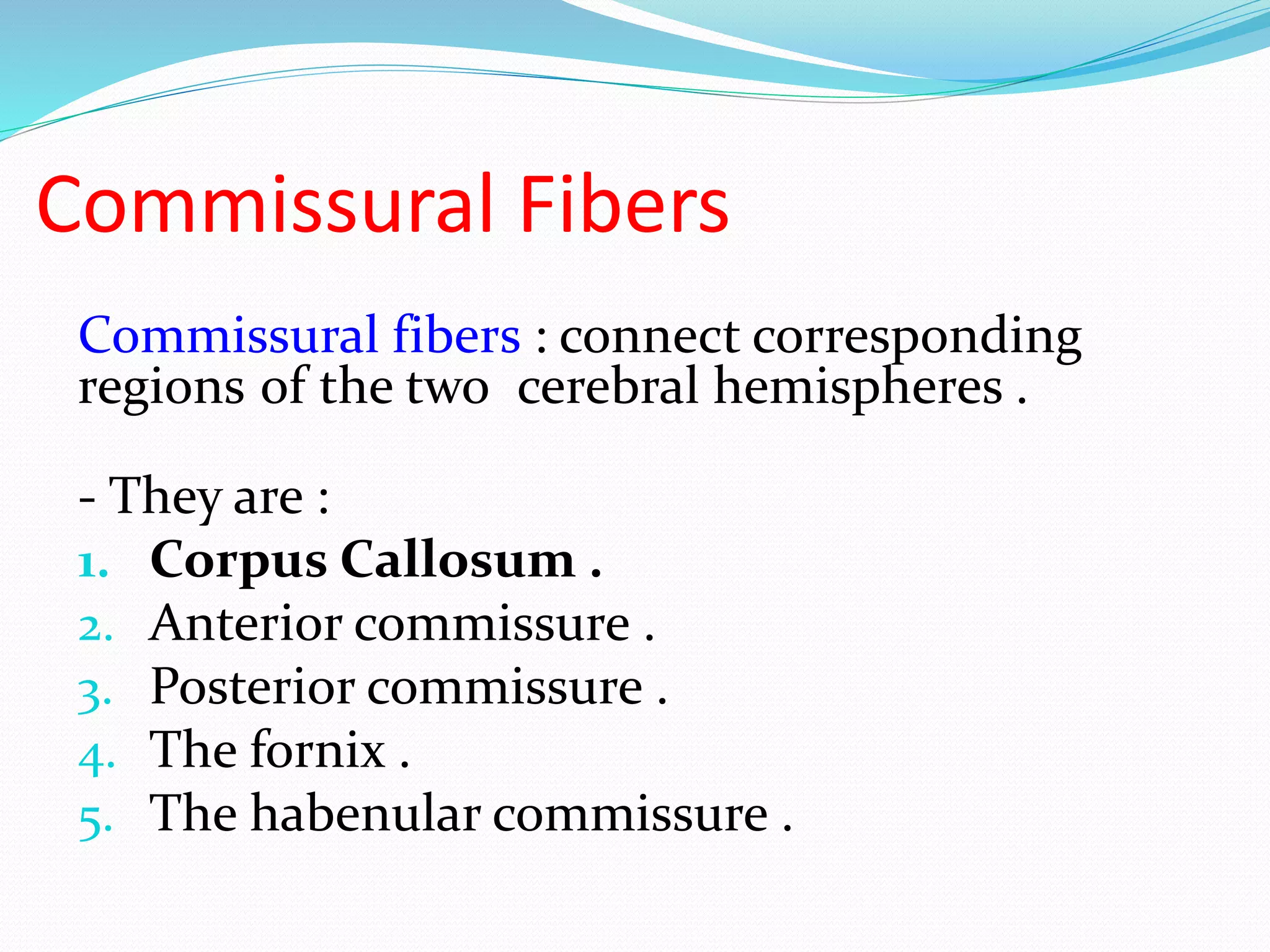 Agenesis of The Corpus Callosum ACC | PPTX