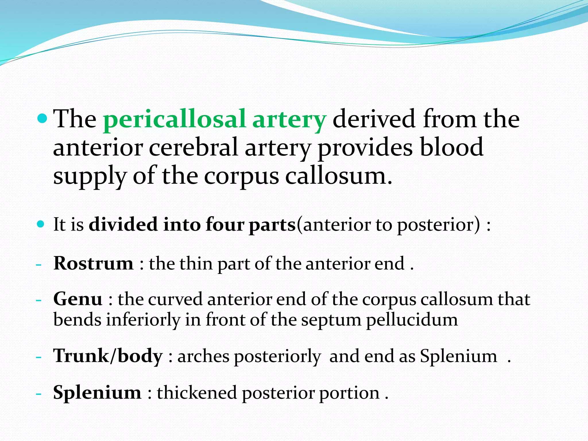 Agenesis of The Corpus Callosum ACC | PPTX