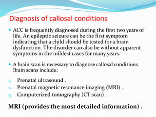 Agenesis of The Corpus Callosum ACC | PPTX