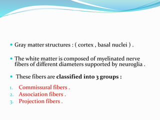 Agenesis of The Corpus Callosum ACC | PPTX | Brain and Nervous System ...