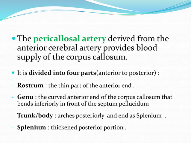 Agenesis of The Corpus Callosum ACC | PPTX | Brain and Nervous System ...