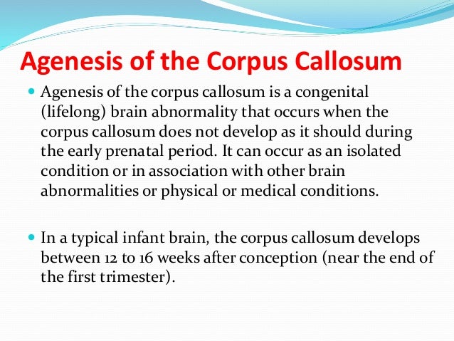 Agenesis of The Corpus Callosum ACC