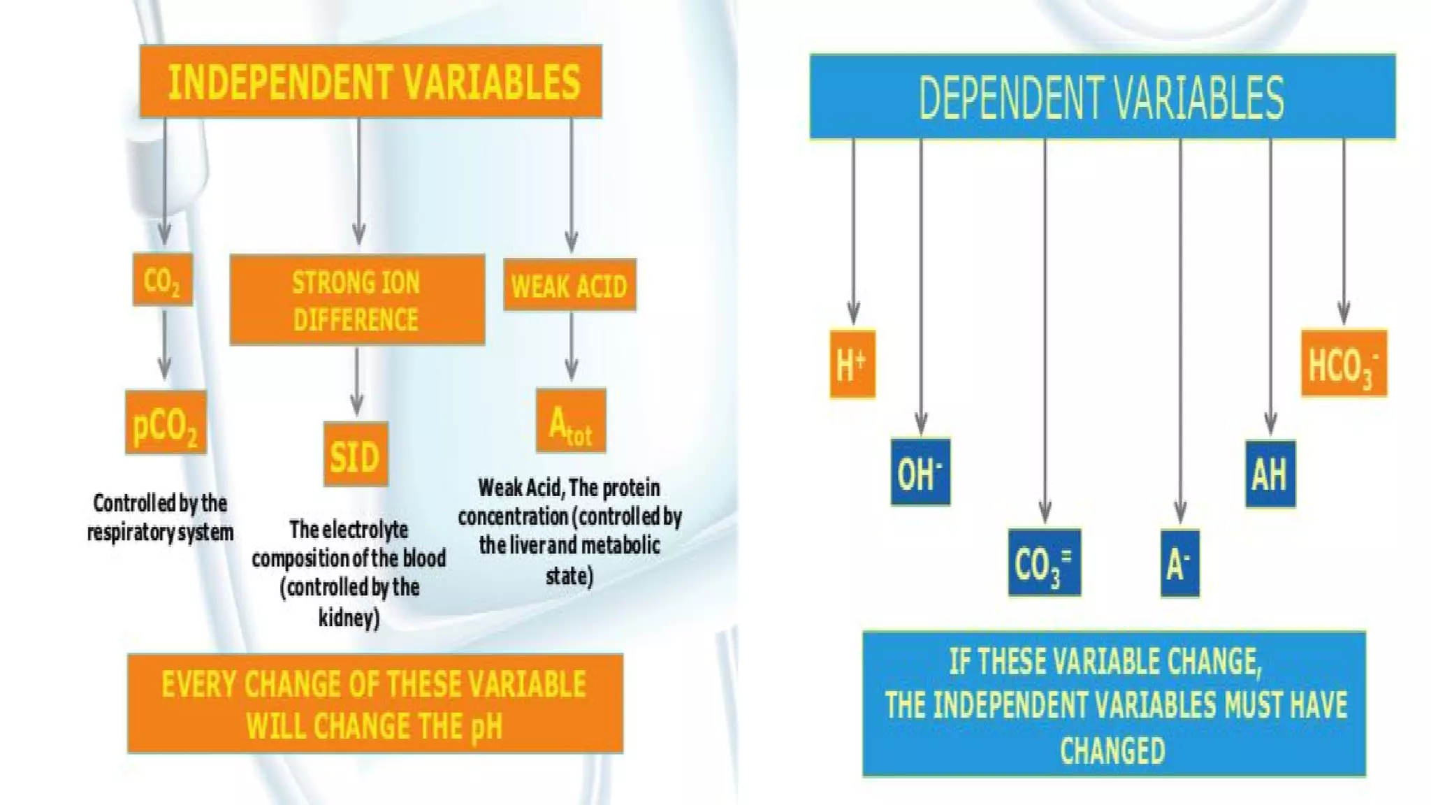 Interpretasi Analisa Gas Darah (AGD) dengan Pendekatan Stewart | PDF