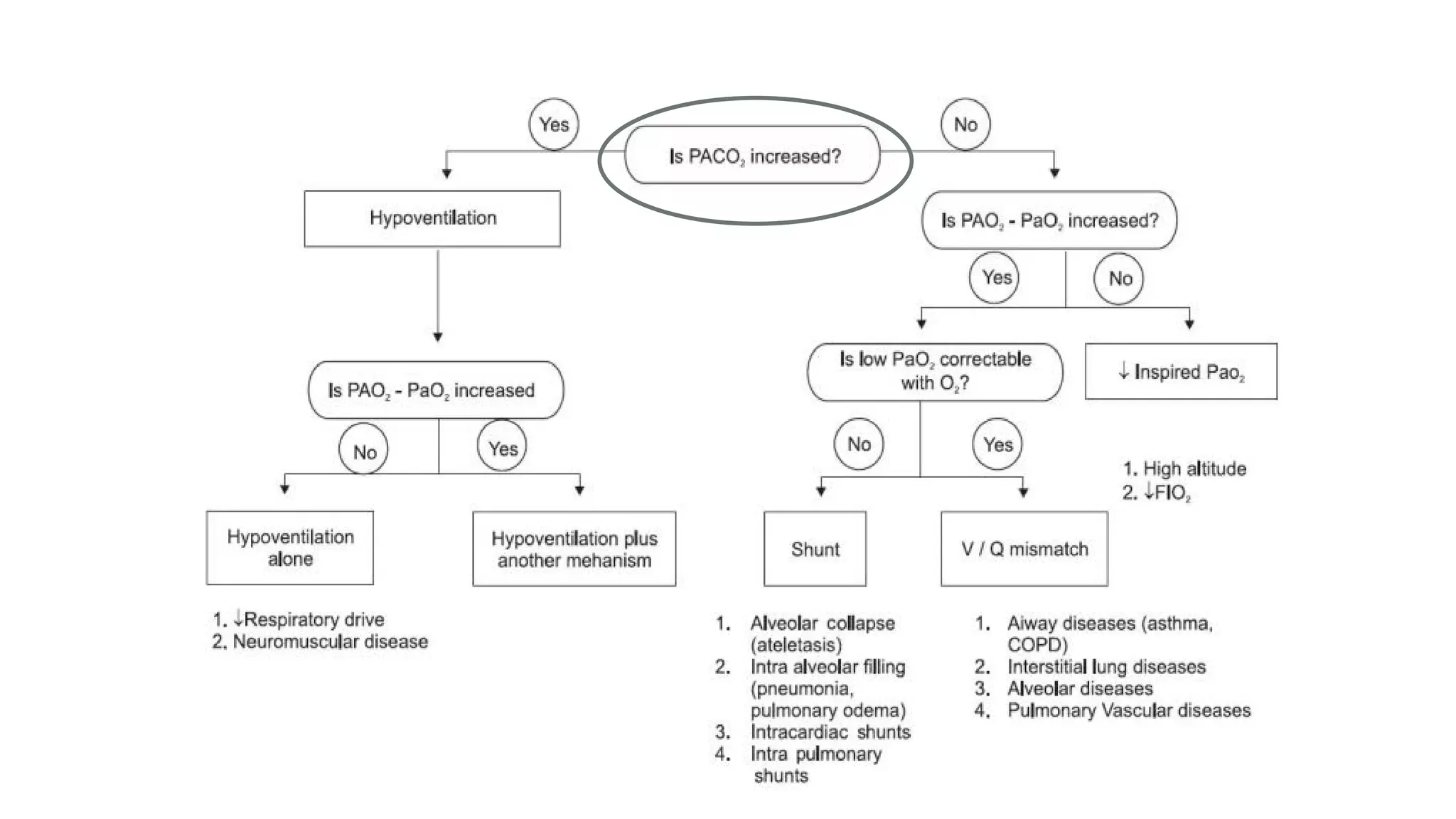 Interpretasi Analisa Gas Darah (AGD) dengan Pendekatan Stewart | PDF