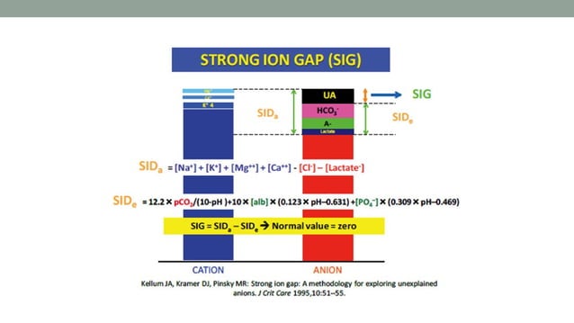 Interpretasi Analisa Gas Darah (AGD) dengan Pendekatan Stewart | PDF