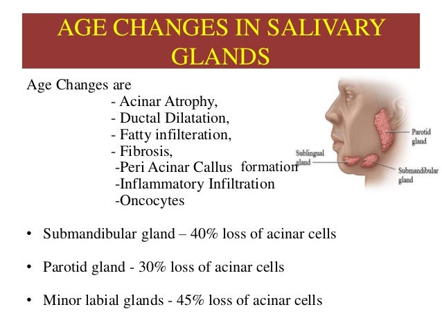 Age changes in oral tissues