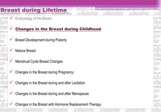 Age-Related Changes of the Breast in US and MR | PDF