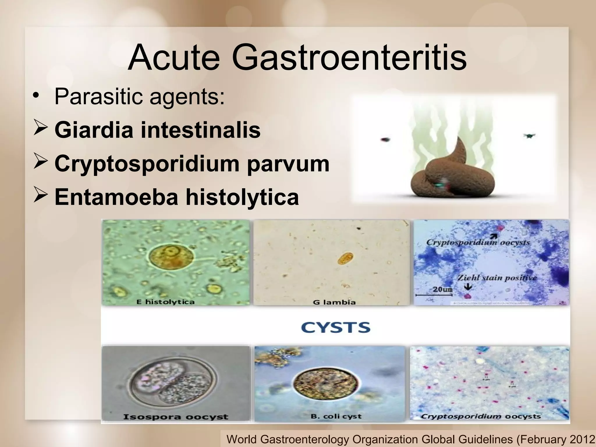 Acute Gastroenteritis for Adults and Children | PPT