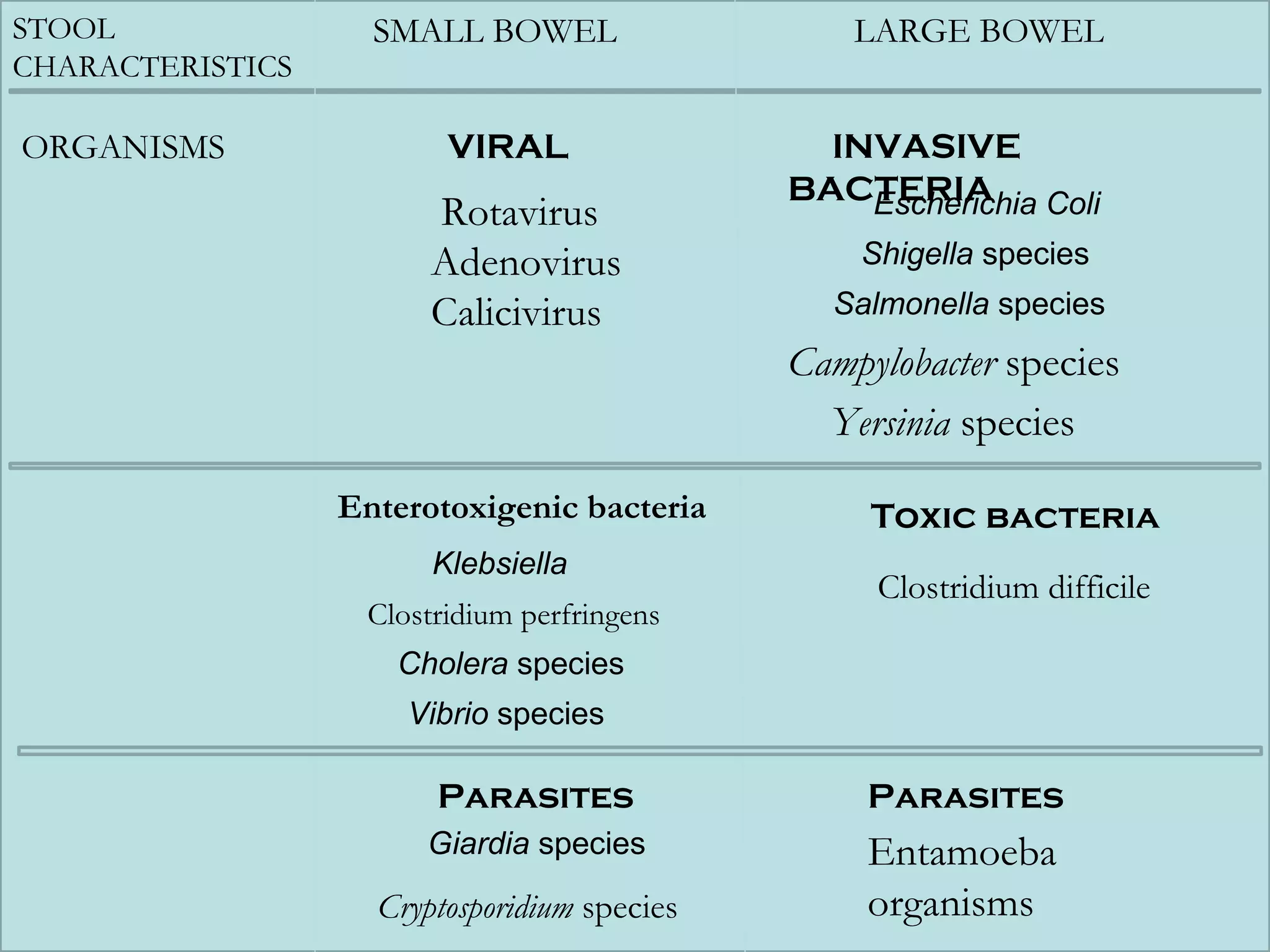 Acute Gastroenteritis for Adults and Children | PPT