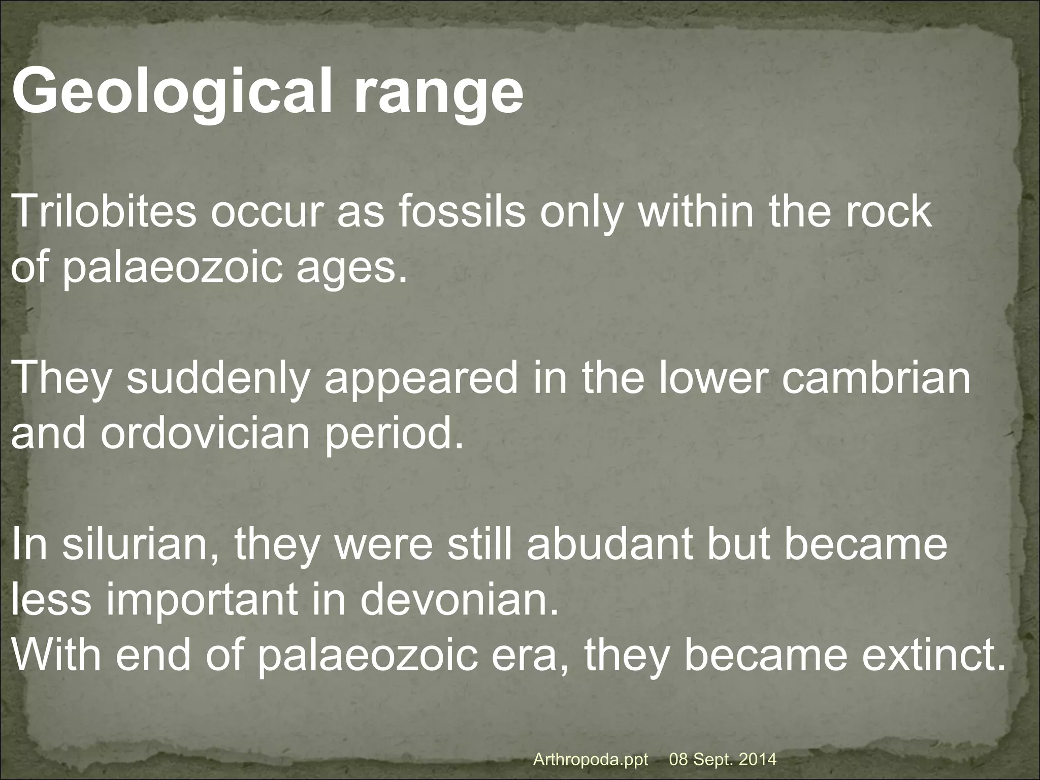 trilobites | PPT