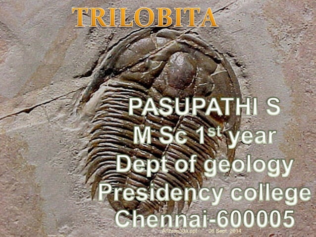 trilobites | PPT | Reptiles | Pets