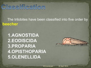 trilobites | PPT