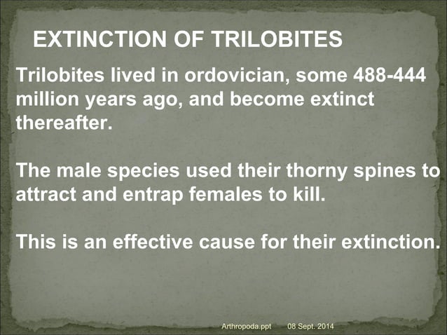 trilobites | PPT | Reptiles | Pets