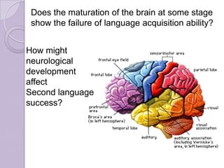 Ageandacquisitionnew | PPTX