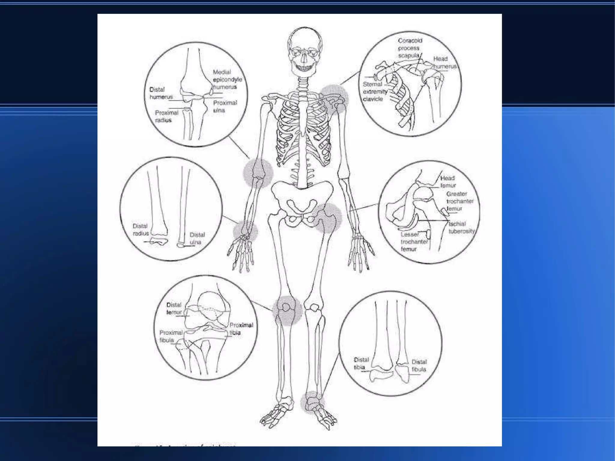 Session no. 1, 2011: Age and sex estimation in juvenile skeletal ...