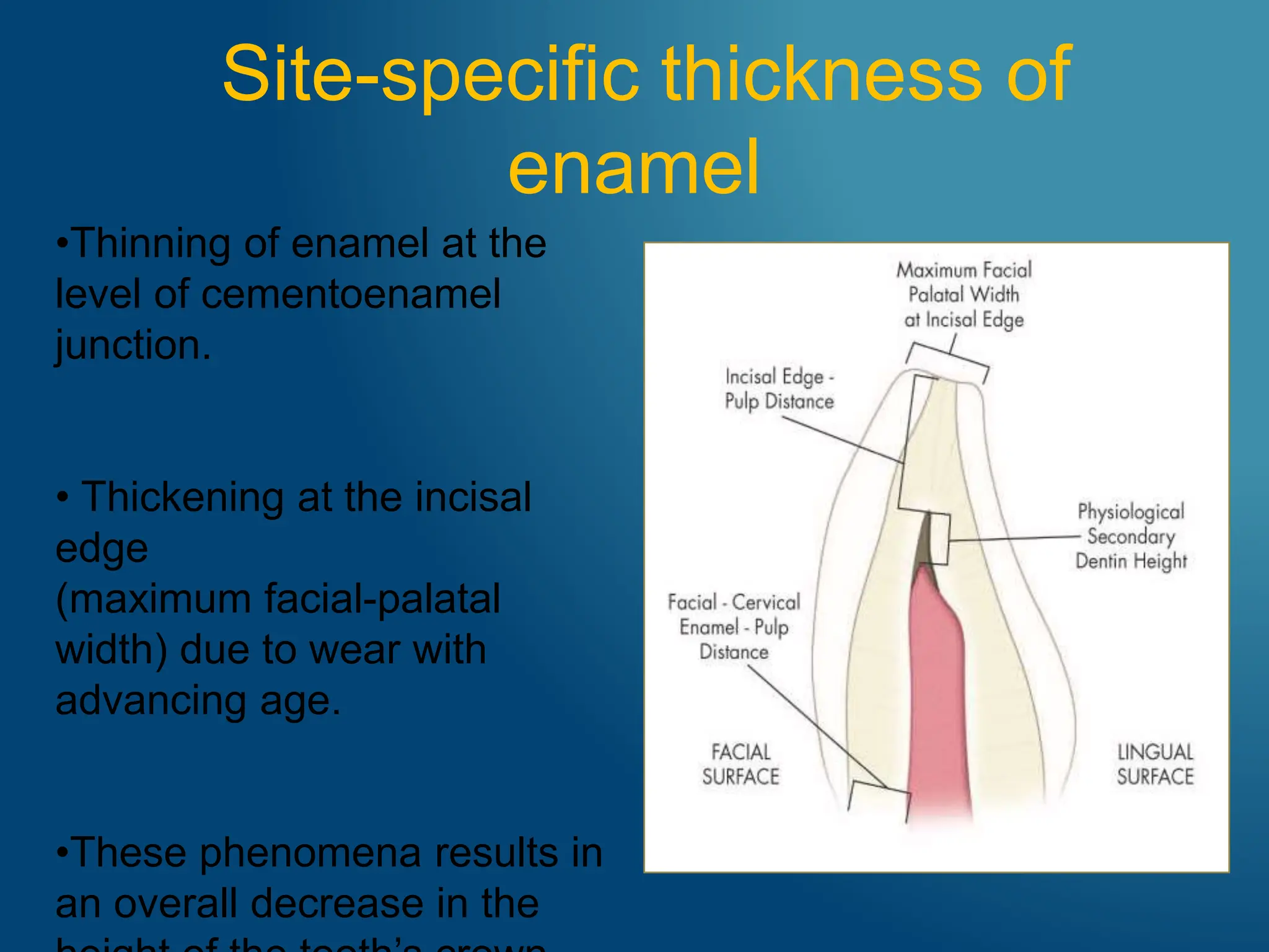 Age changes in enamel, dentin and pulp1.pptx