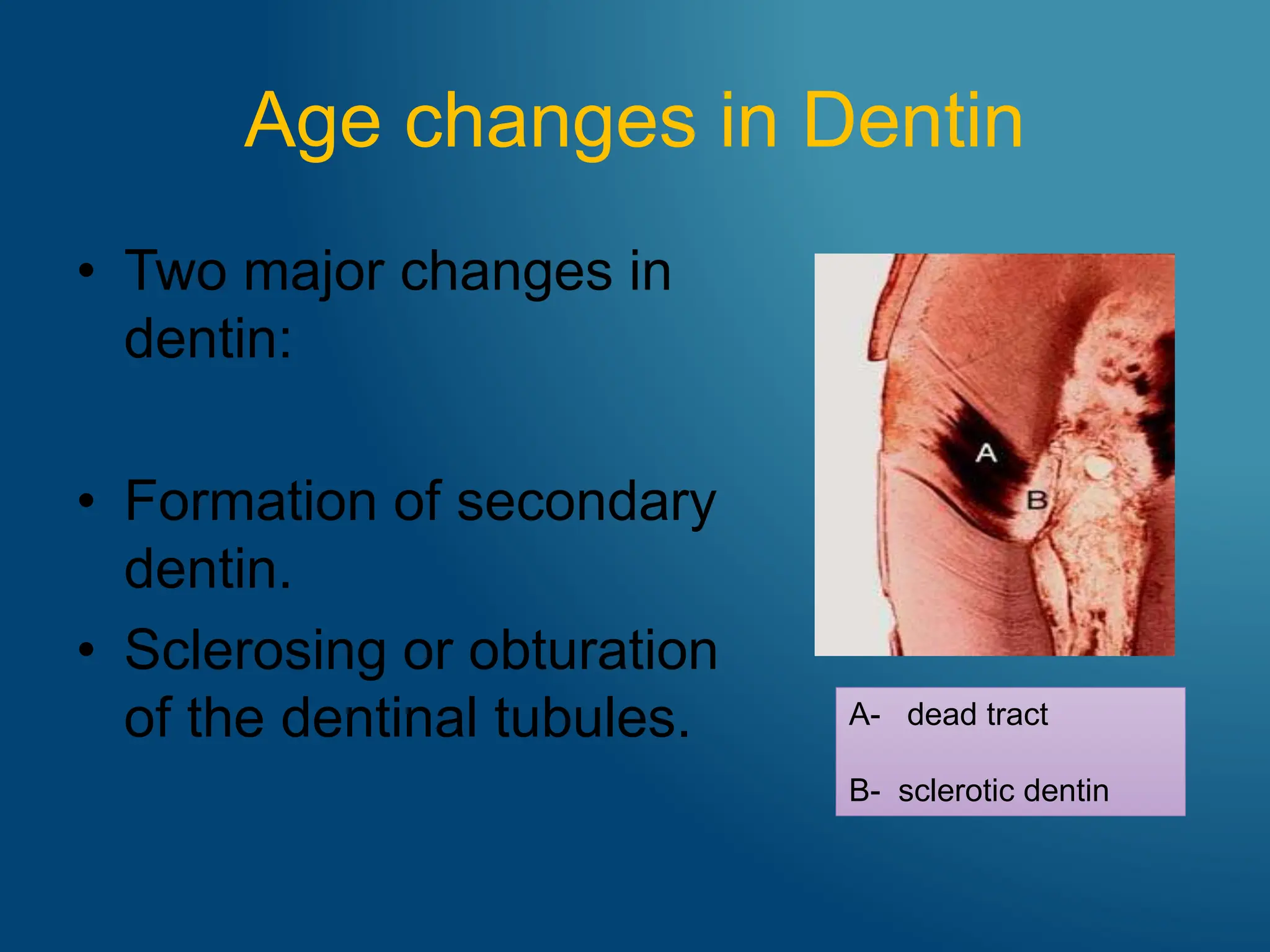Age changes in enamel, dentin and pulp1.pptx