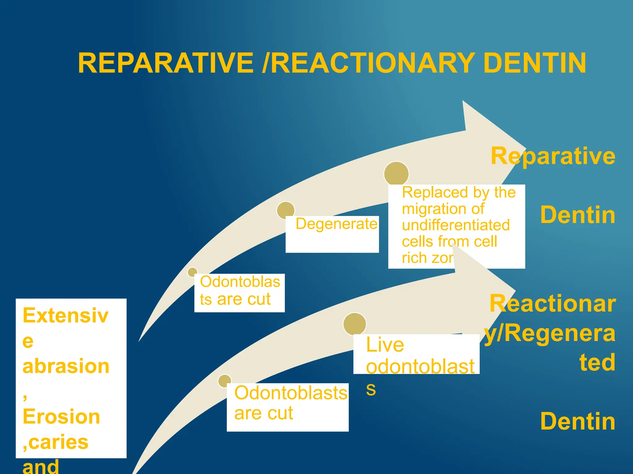 Age changes in enamel, dentin and pulp1.pptx