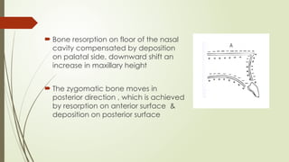 age changes in maxilla pptx...............pptx