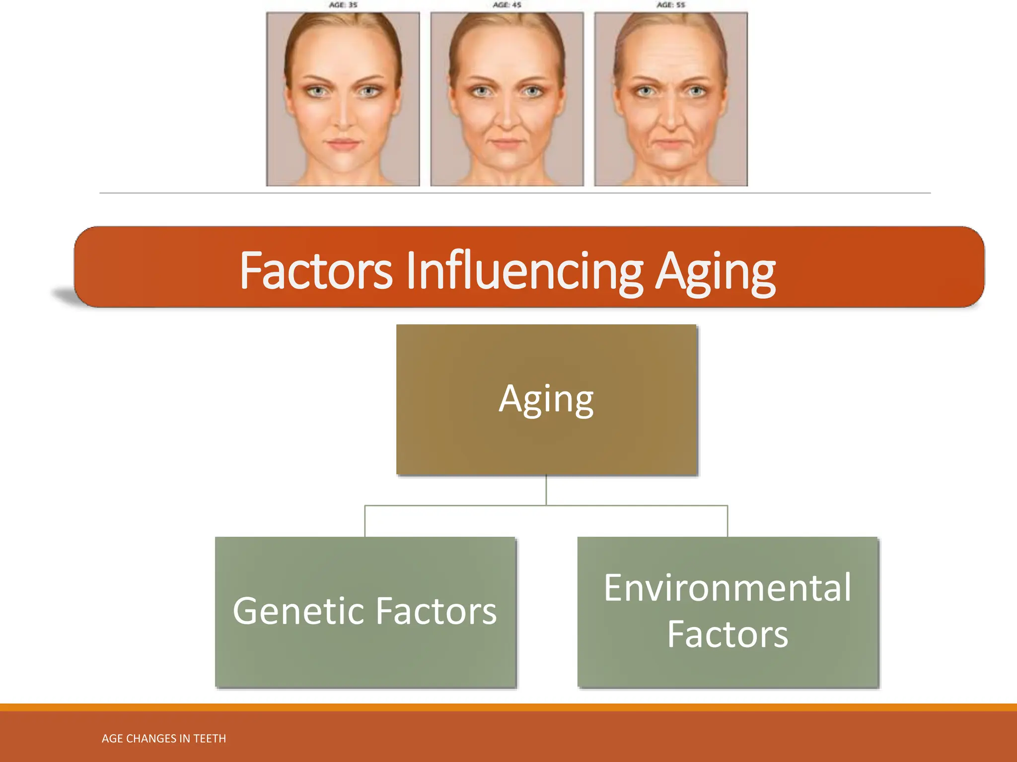 AGE CHANGES IN TEETH powerpoint presentation | PPTX