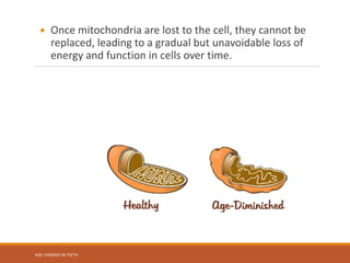 AGE CHANGES IN TEETH powerpoint presentation | PPTX