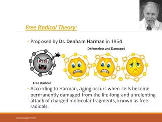 AGE CHANGES IN TEETH powerpoint presentation | PPTX
