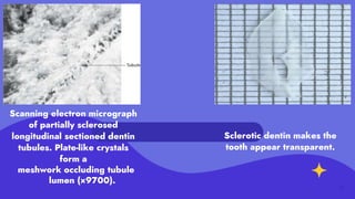 Age changes related to dental tissues development.pptx