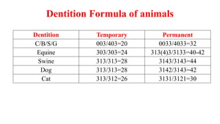 Determiantion of age in farm animals.ppt