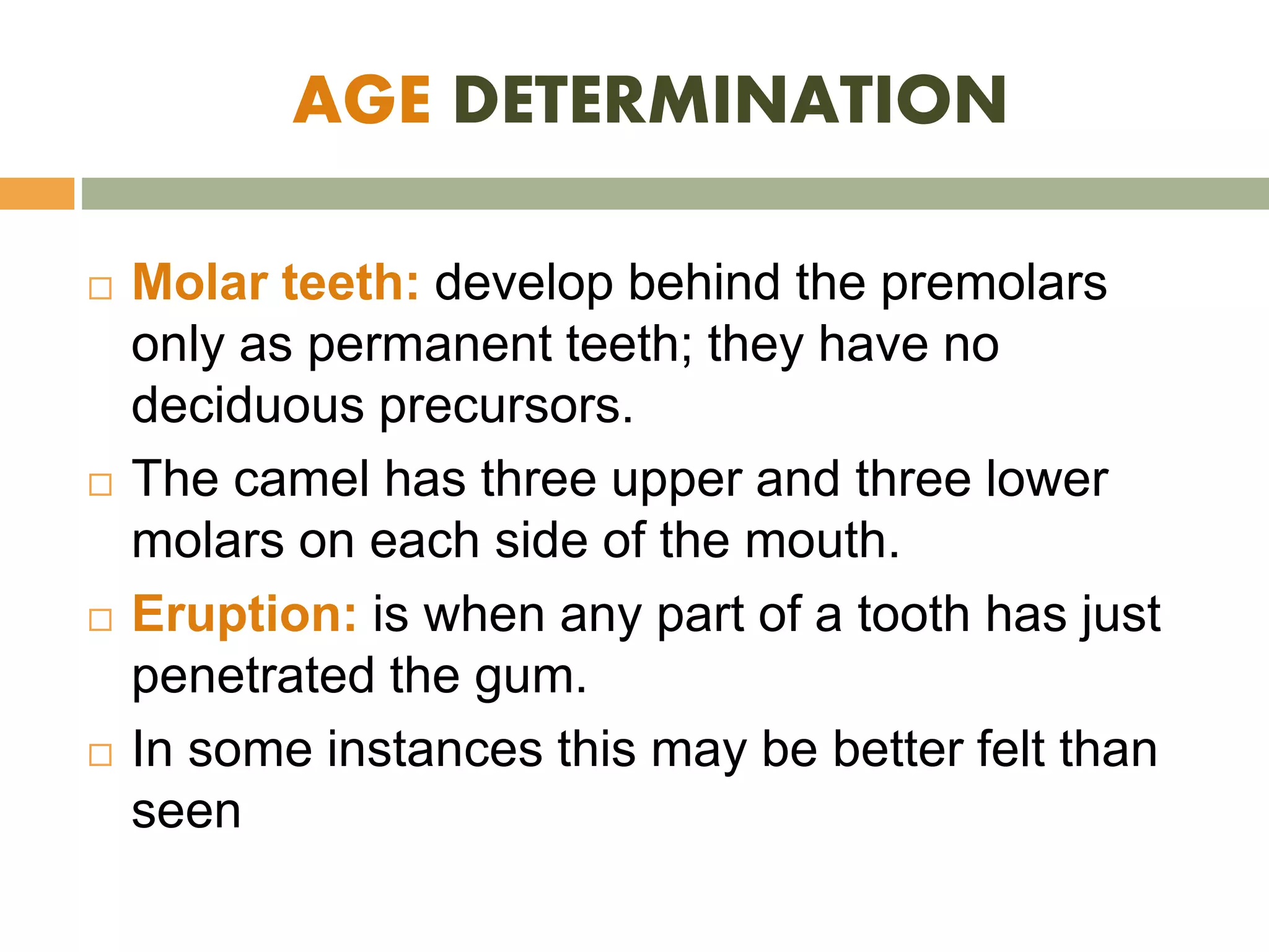 Age determination | PPTX
