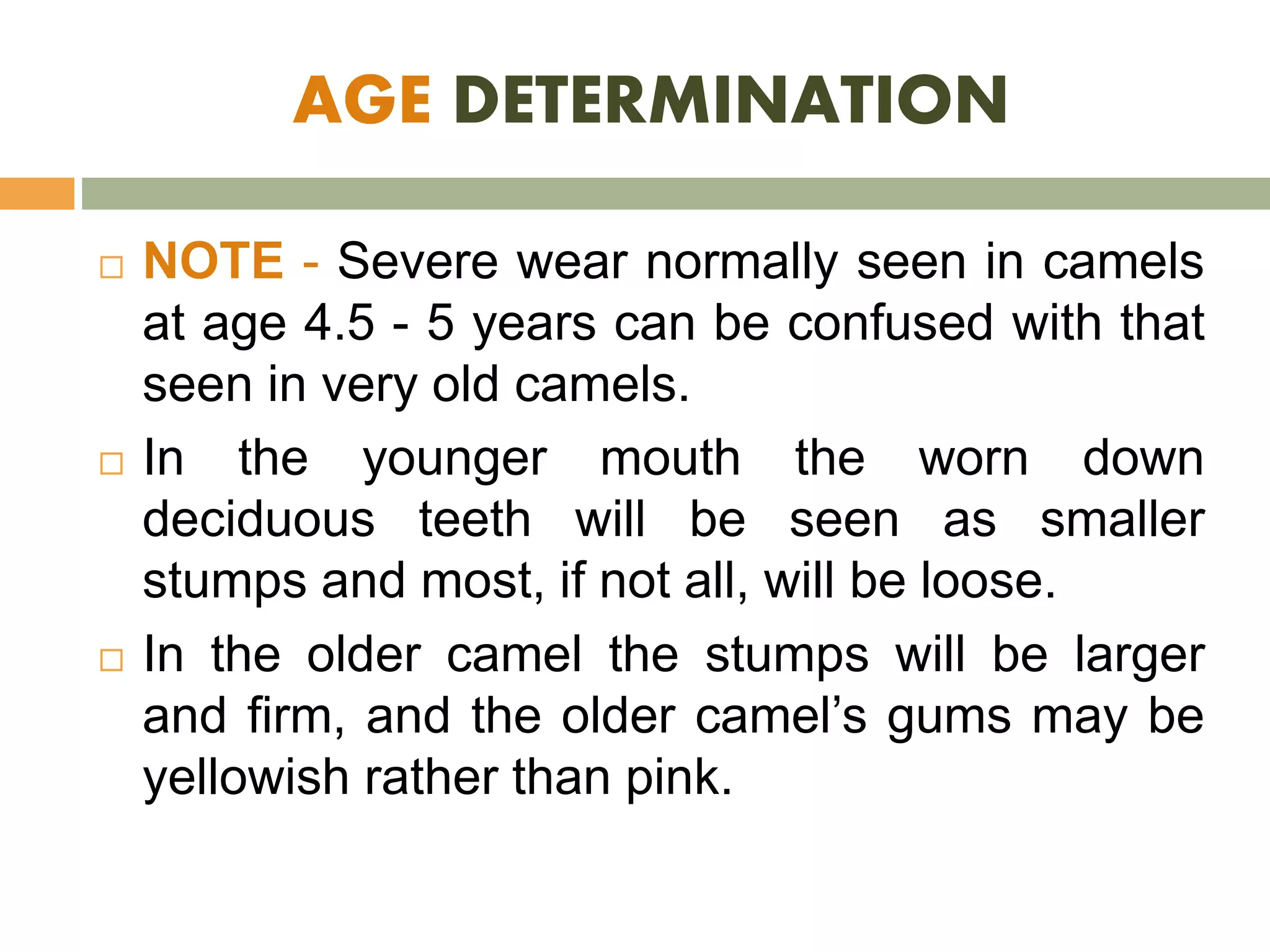 Age determination | PPTX