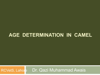 Age determination | PPTX