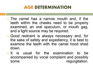 Age determination | PPTX
