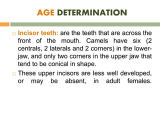 Age determination | PPTX