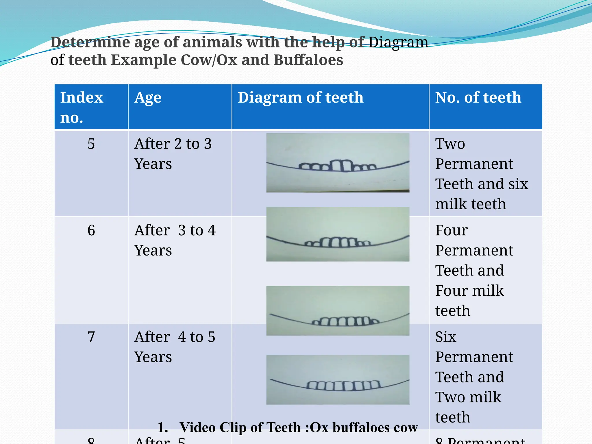 age determination in large ruminants P#3.pptx