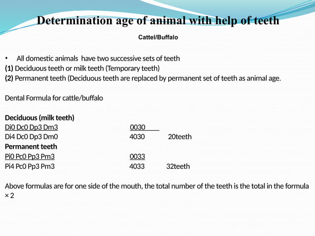 age determination in large ruminants P#3.pptx
