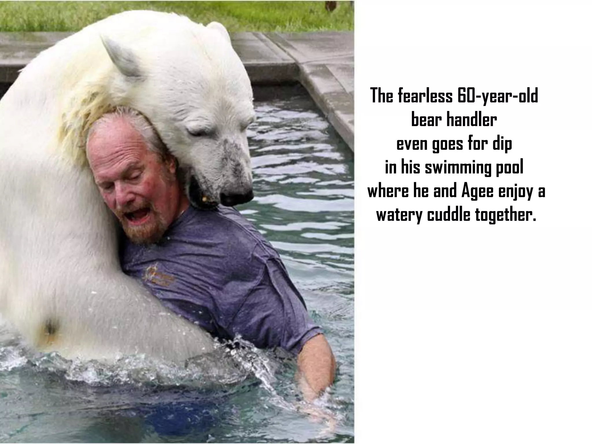 Agee (Playing with a polar bear) | PPTX | Polar Travel | Travel Locations